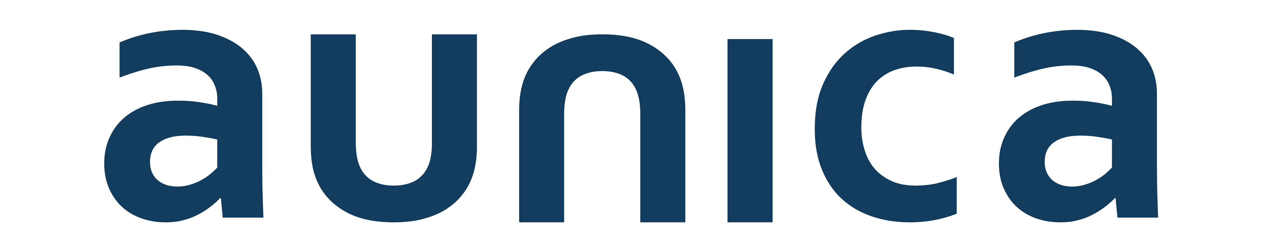 aunica Interactive Marketing I Digital Analytics e Data Driven Marketing.